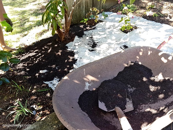 Paper and Cardboard Mulch for Weed Control - Smother Weeds In Gardens